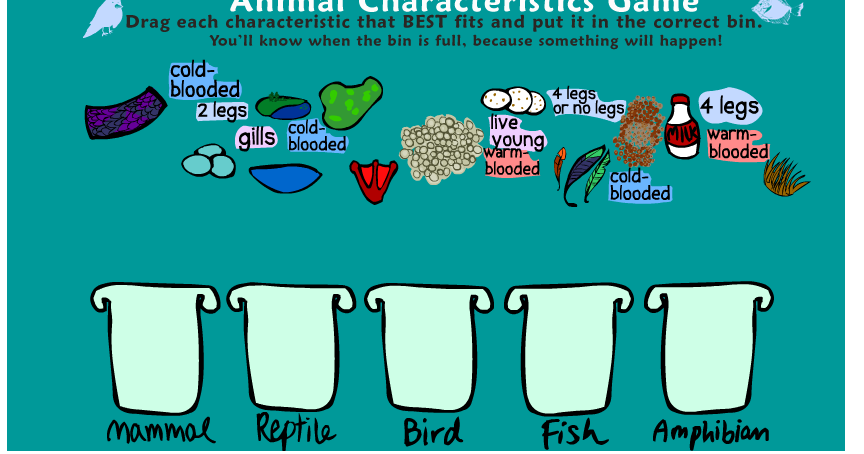 Proyecto Bilingüe Nuestra Señora de Belén: Animal Classification Game ...
