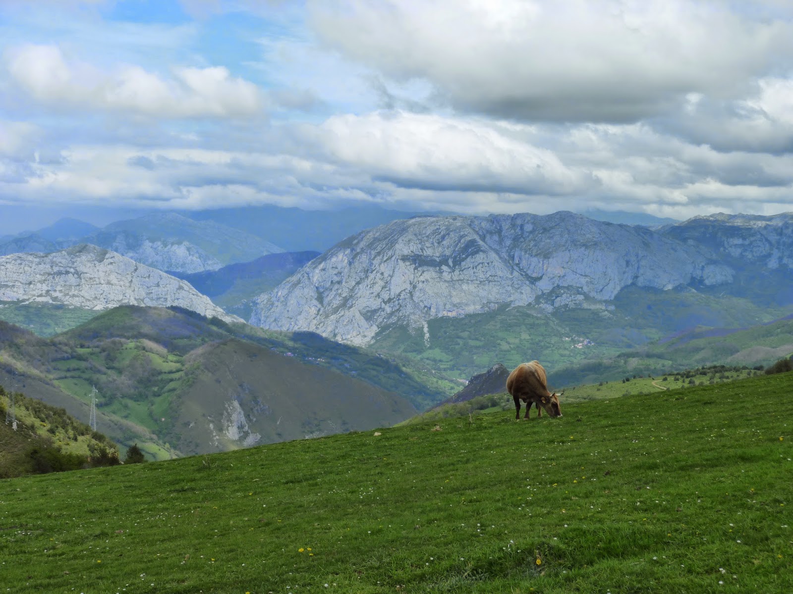 Pateos Montunos: A la Peña Michu y Braña La Corra.