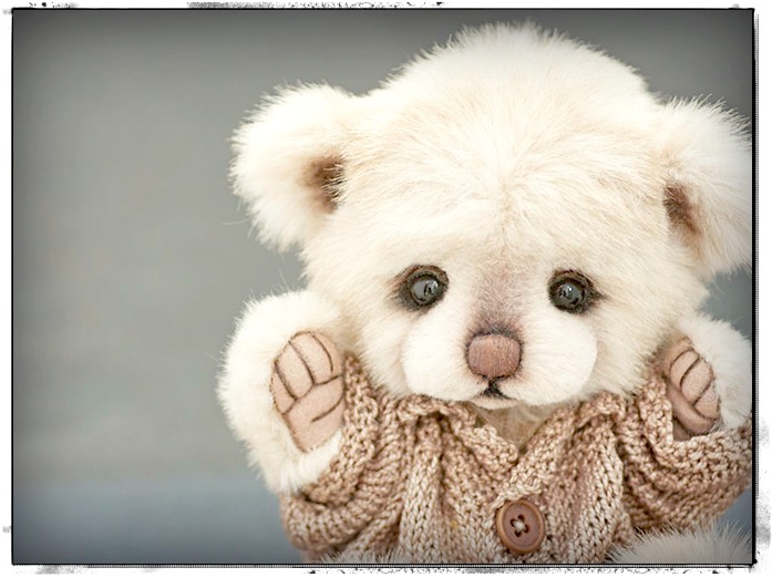 Three O'Clock Bears: Little Bundle Available for adoption