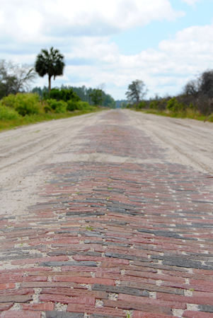 Desolation Florida: Follow the old, worn, brick road...