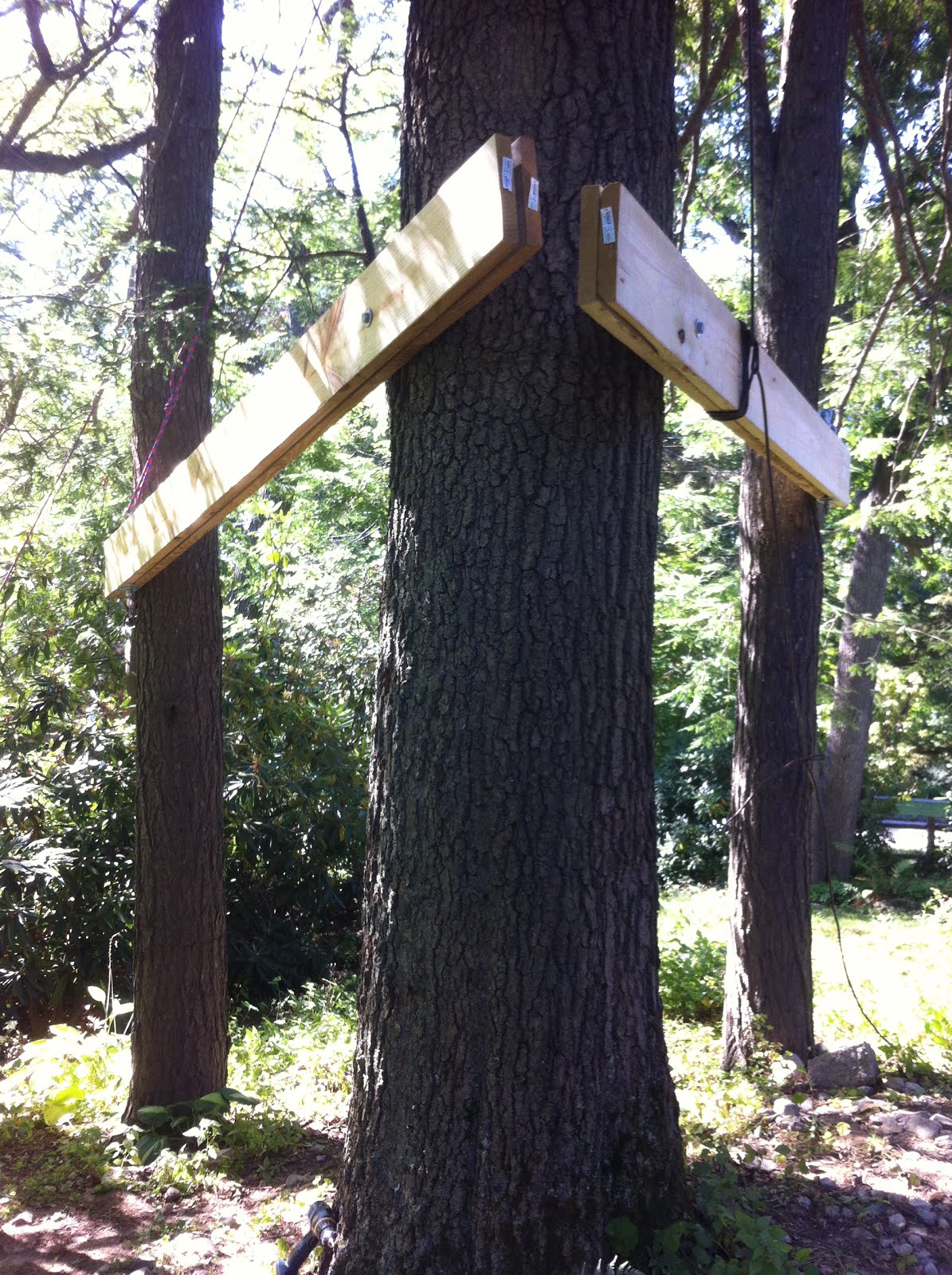 The Contemplative Treehouse: Support beams up