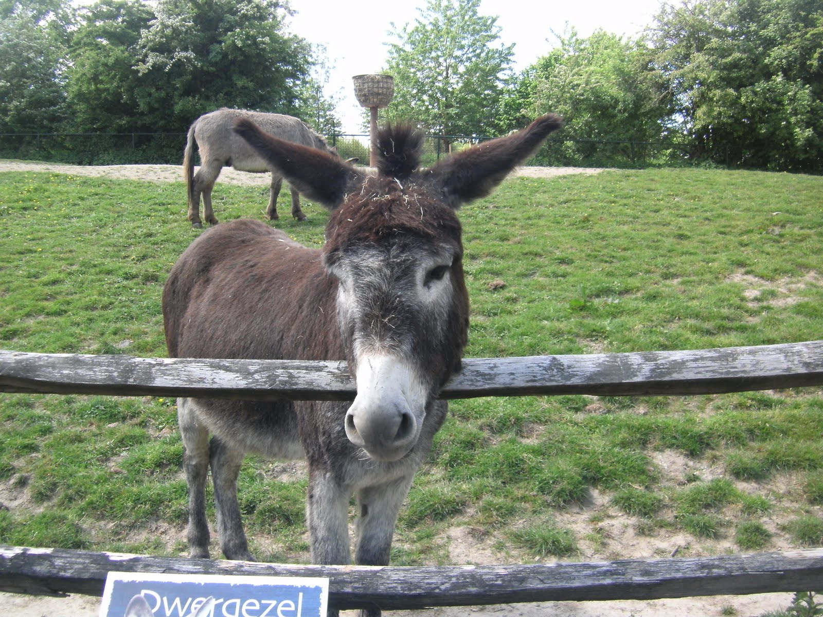 Aline: GAIAPARK ,KERKRADE, LIMBURG