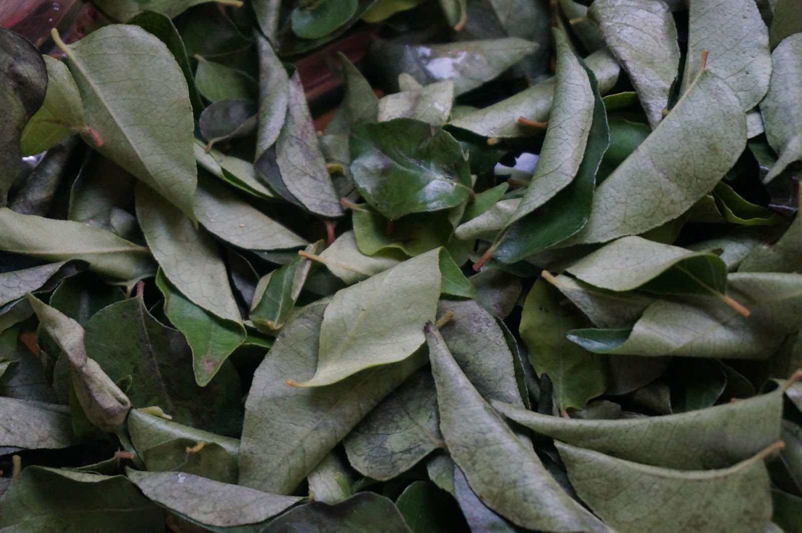 selfshowcase: Karvepaku or Karipatha pachadi/Curry leaf pickle