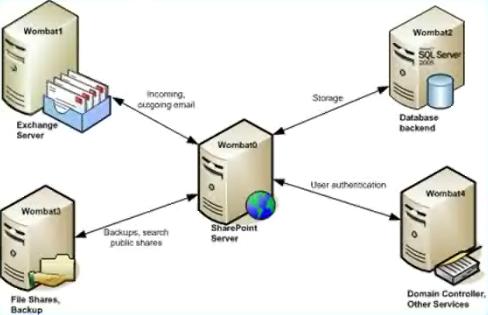 Role of SP Server in a LAN Network | SharePoint Patshala