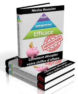 French Vocabulary Illustrated: décupler