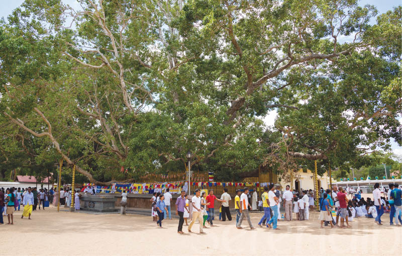 Sri Lanka Holiday Directory: Sri Lanka at a glance