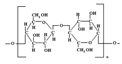 Structure of Cotton Fiber - Textile Learner