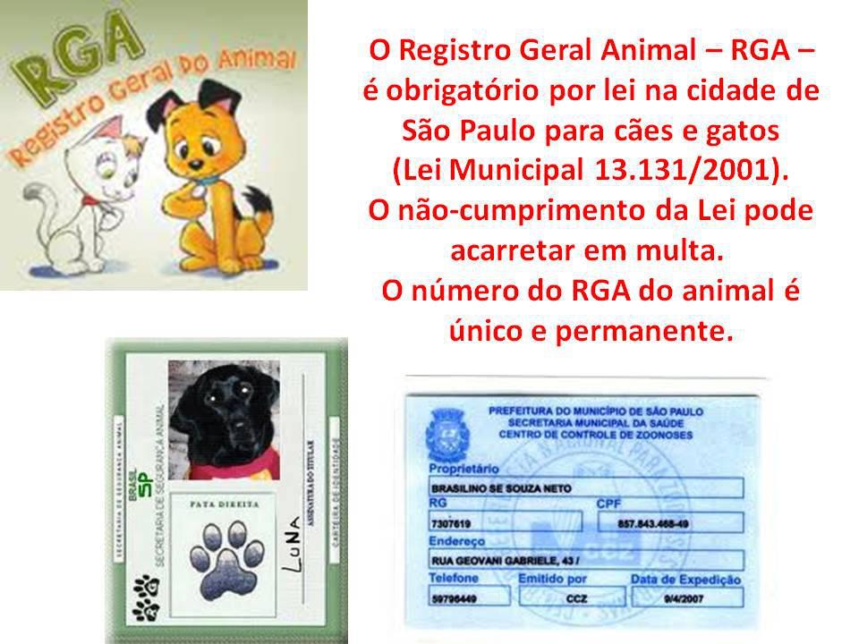 Eu sou Morumbi: RGA - Registro Geral Animal