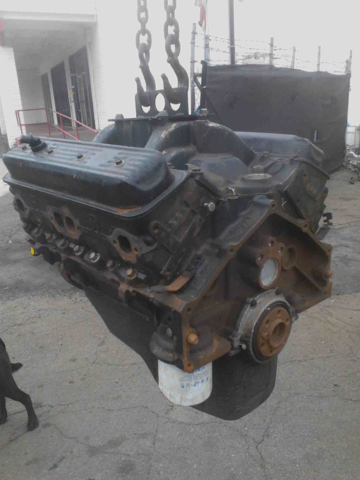 Pugwash Marine: Pugwash Marine