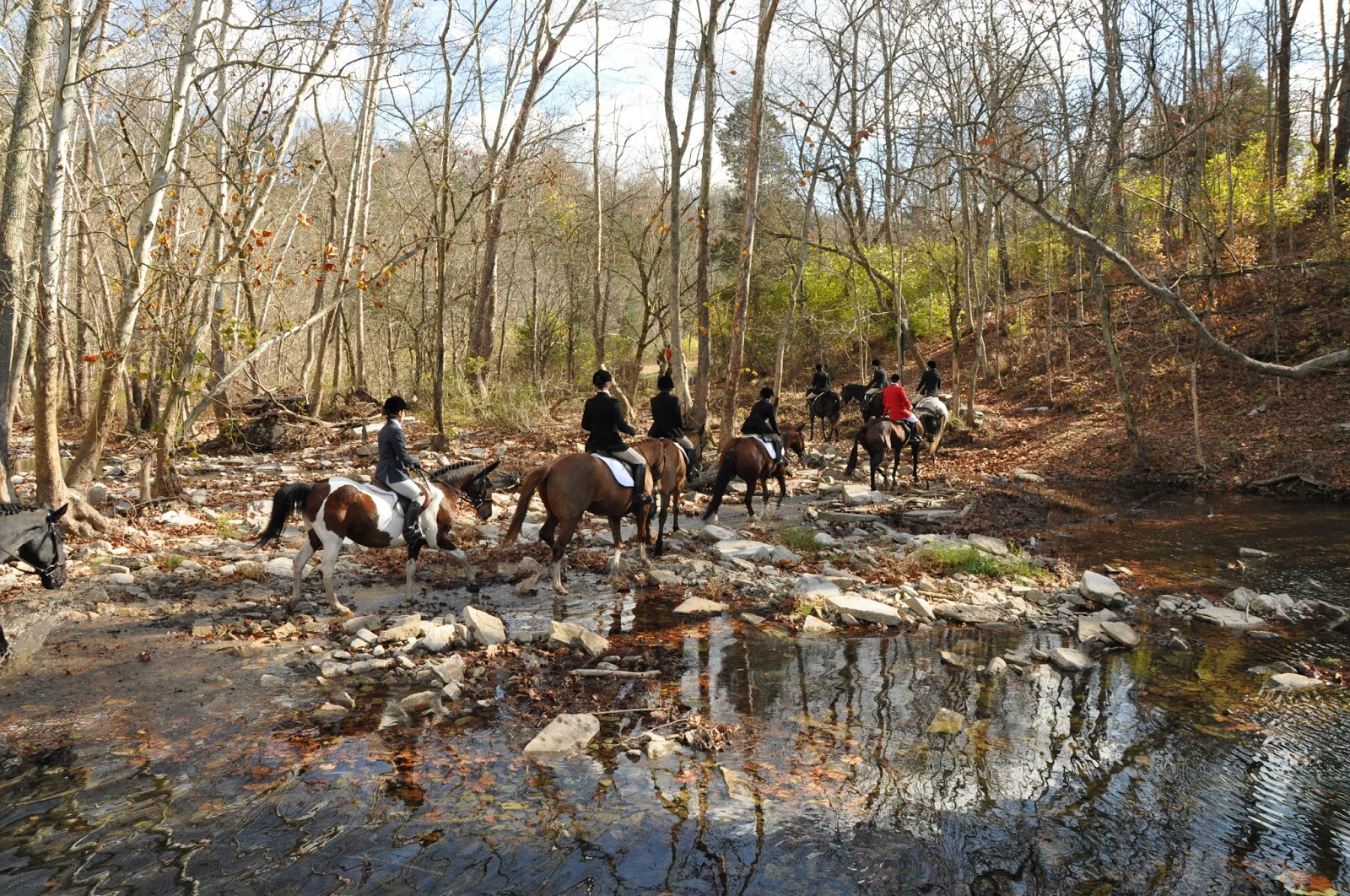 My Morning Cup: Ireland (Virtual) Foxhunt...and Will Durst's ...