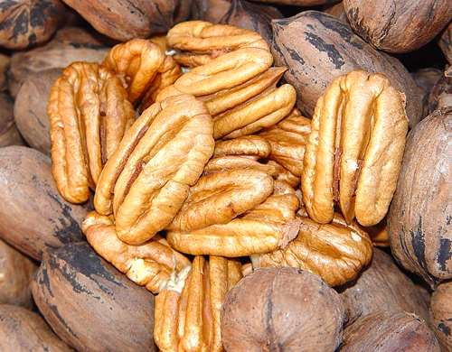 Nueces Comsa: Productos