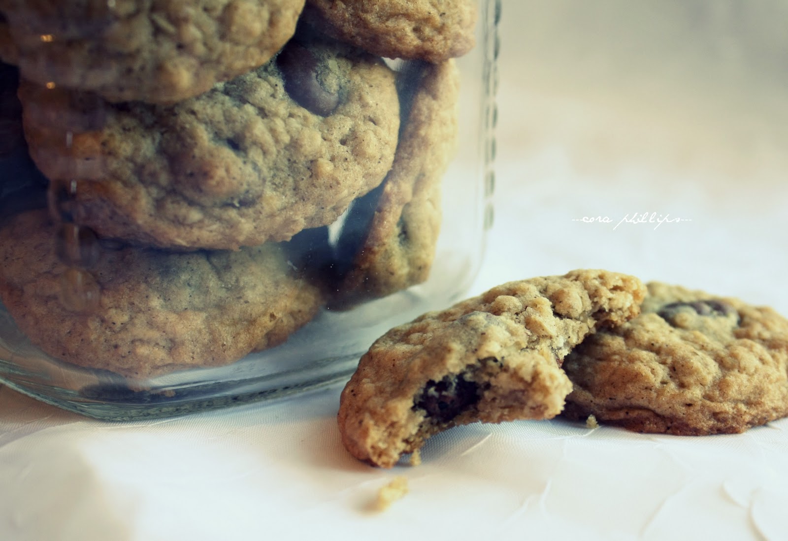 Heartfelt and Homemade: Gooseberry Patch Cookbook Review