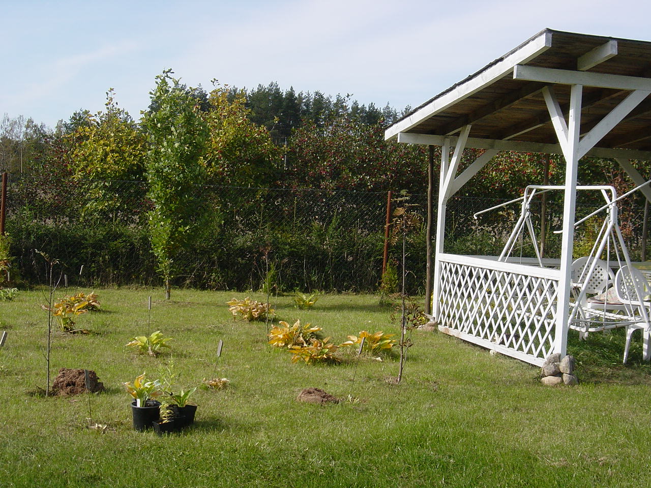 KIMALASE LILLEAED: LOOMINE- 6.lehtla ja hostad