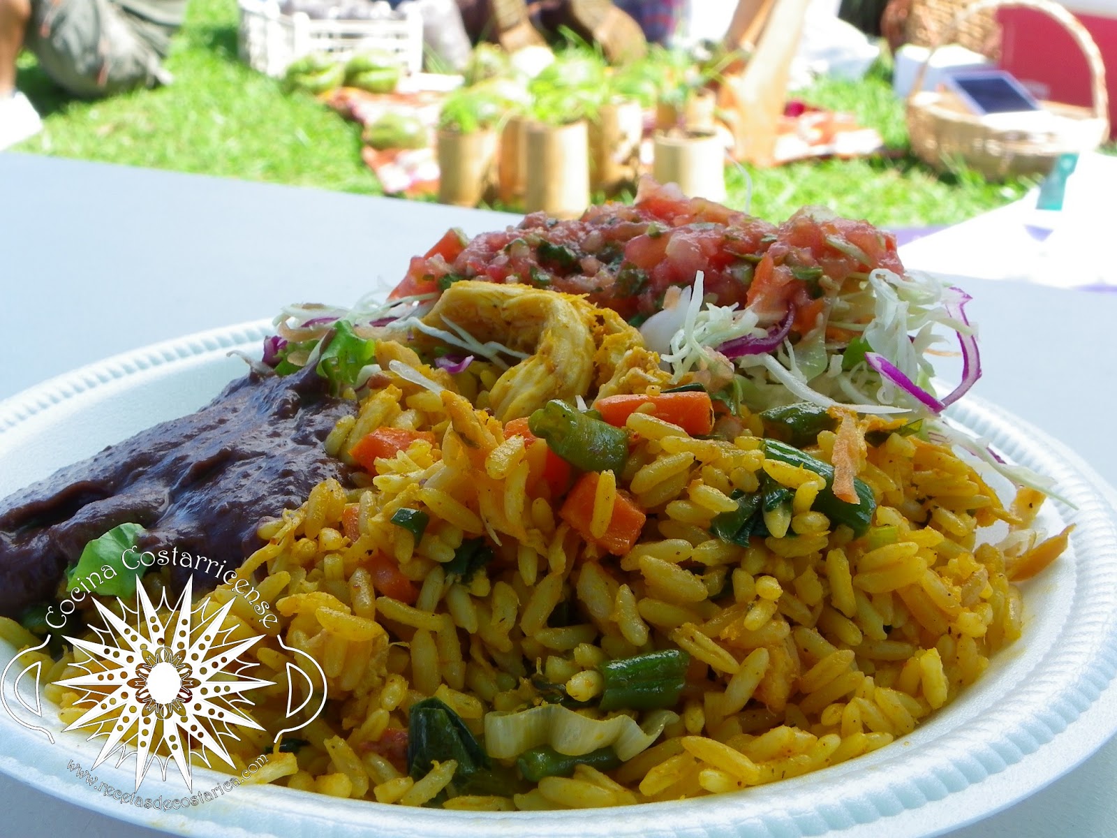 Cocina Costarricense: arroz con pollo caribeño