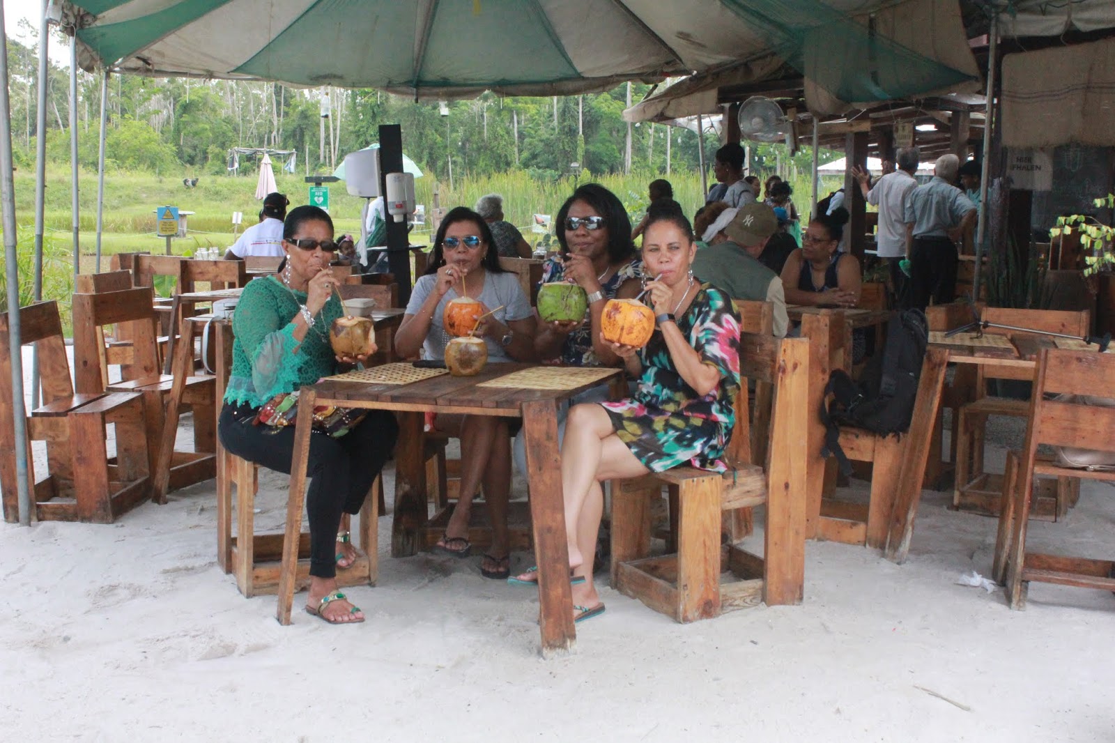 Through the Lens of Judith Redmount: My Trip To the Clevia Park ...