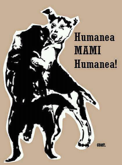 El mejor humor de la red: Perros bailando