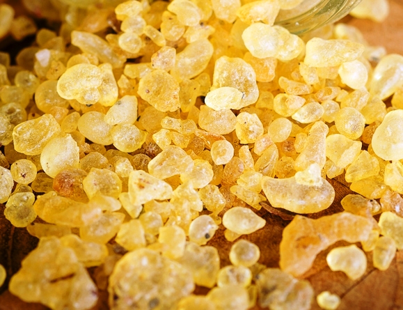 Spices and Herbs: Mastic - resin from the mastic tree