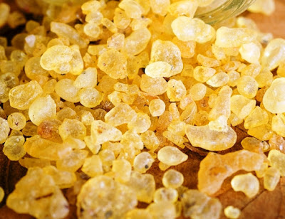 Spices and Herbs: Mastic - resin from the mastic tree