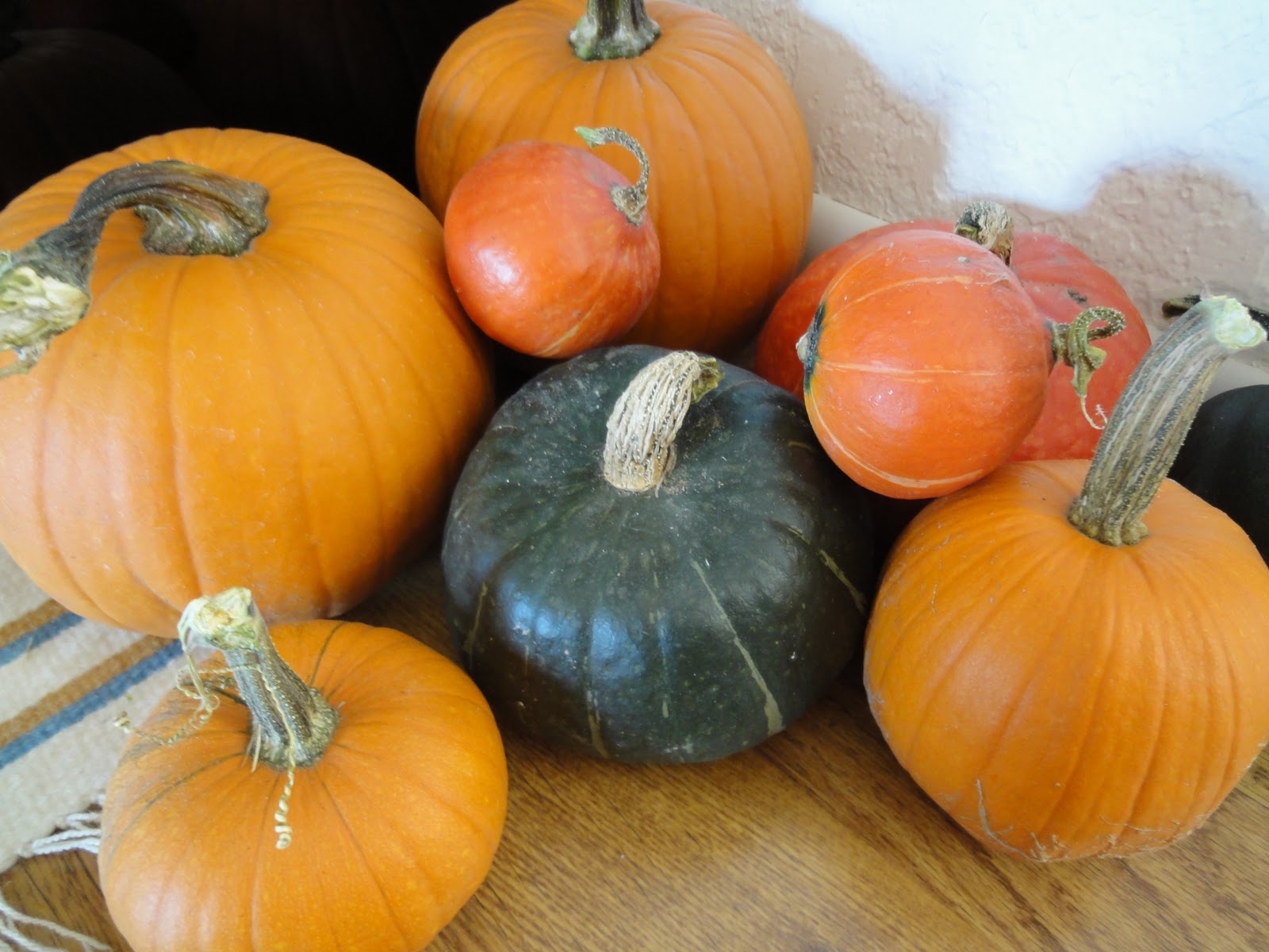 Kim's Cooking and Gardening: Pumpkins and Squash