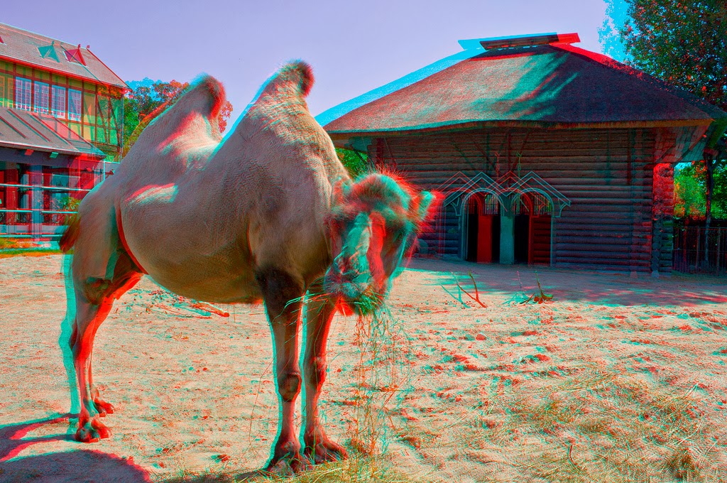 8 Awesome Anaglyph 3D Images - Set 2 ~ ab solut everdict blogspot