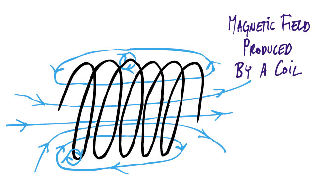 Fanatic Cook: Possible Sixth Sense In Humans: Perception Of Magnetic Fields