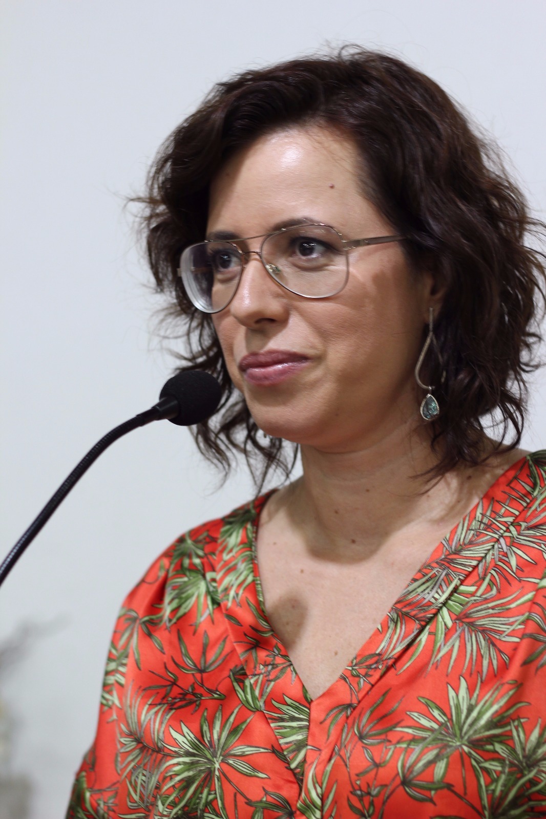 Norma Braga: Livro novo!