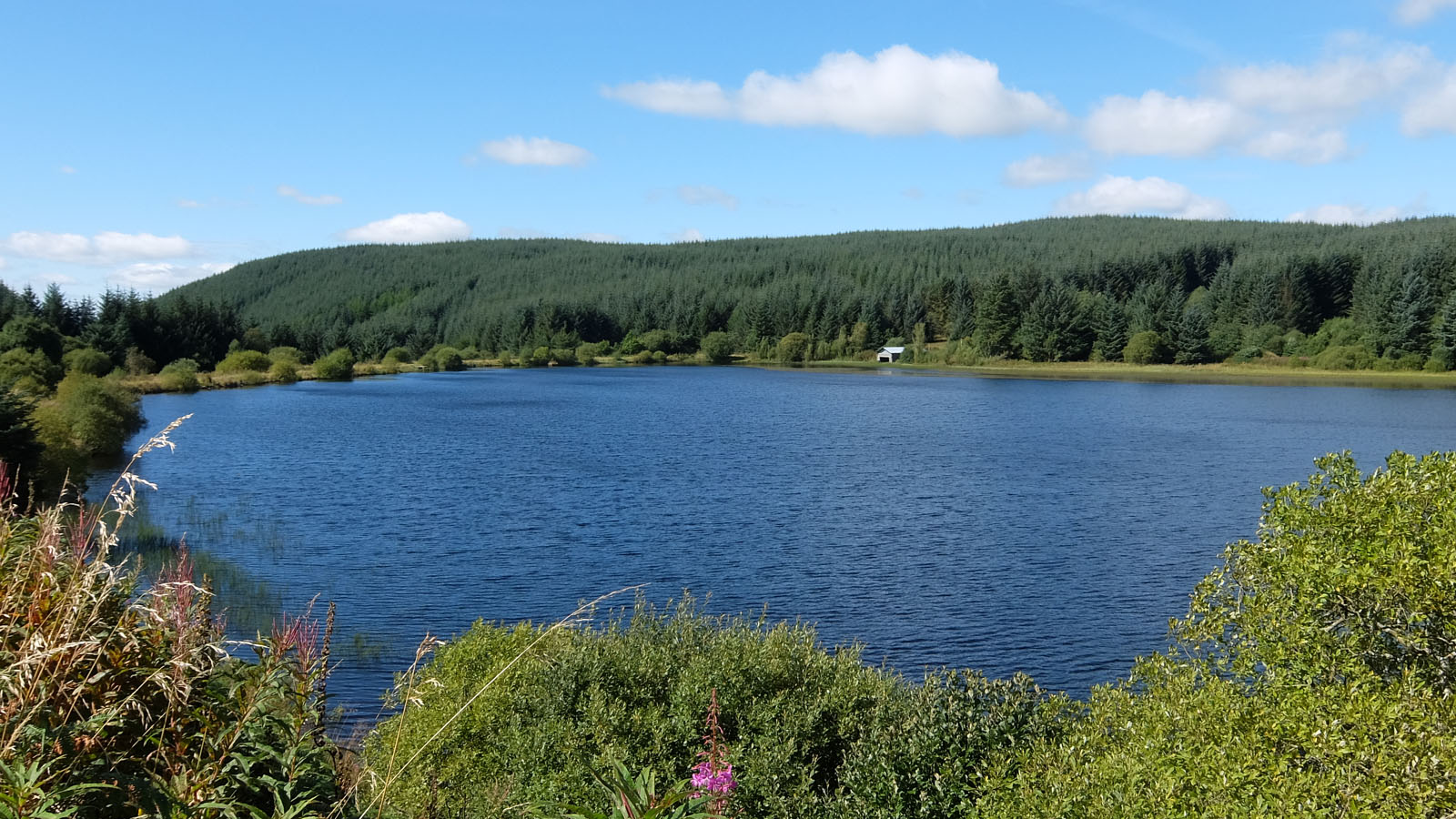 Tales from the Road: (Another) Run to Dumfries & Galloway - Part#2