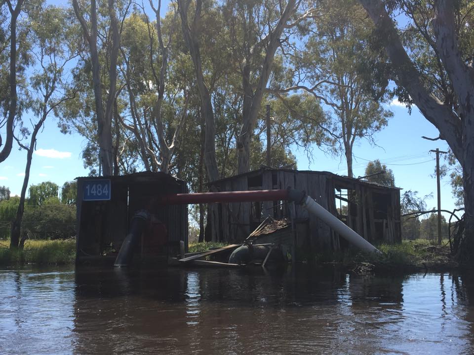 Murray River Kayak.: Murray river Paddle 2016 Day 18 Barham - Benjaroop