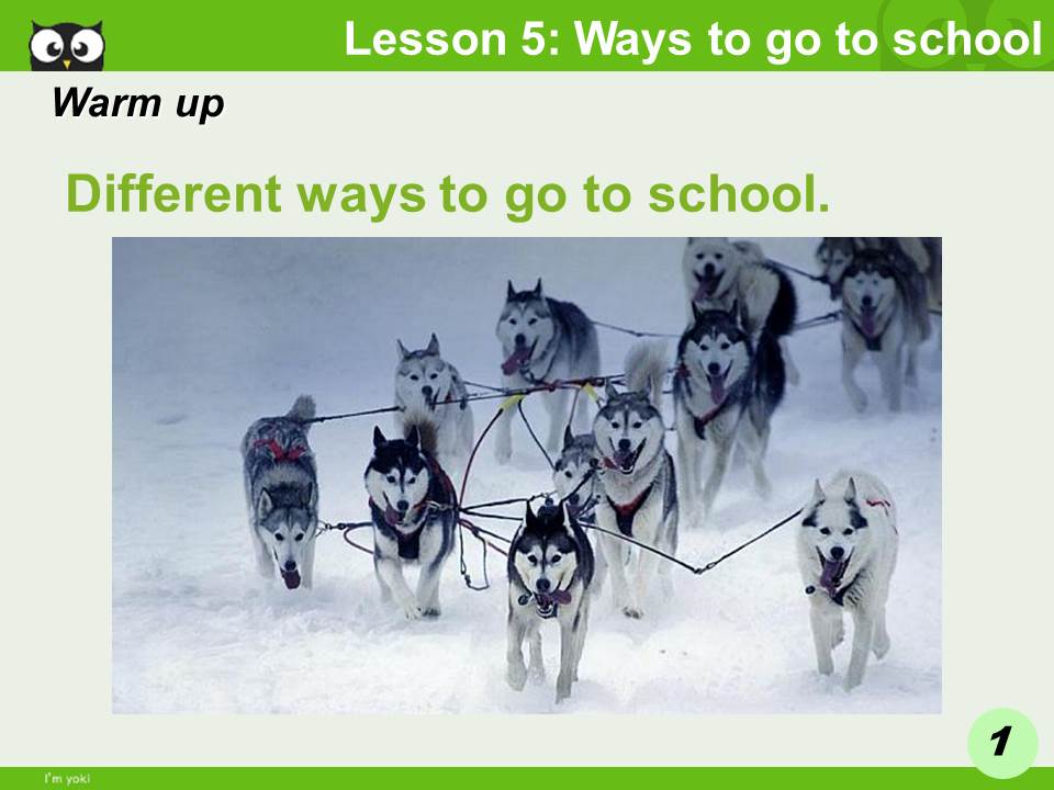 YOKITALK: Unit 2_Lesson 5 Different ways to go to school