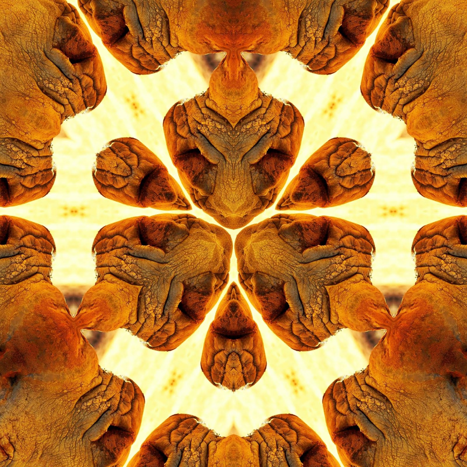 The Cryptic Corridor