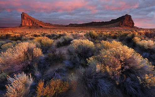 Dana's Photography: Examples of Wide Depth of Field