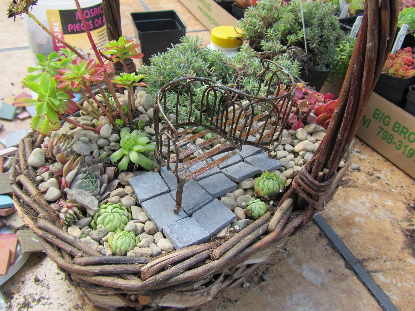 Cheesehead Gardening: How to make the miniature gardens (fairy gardens)