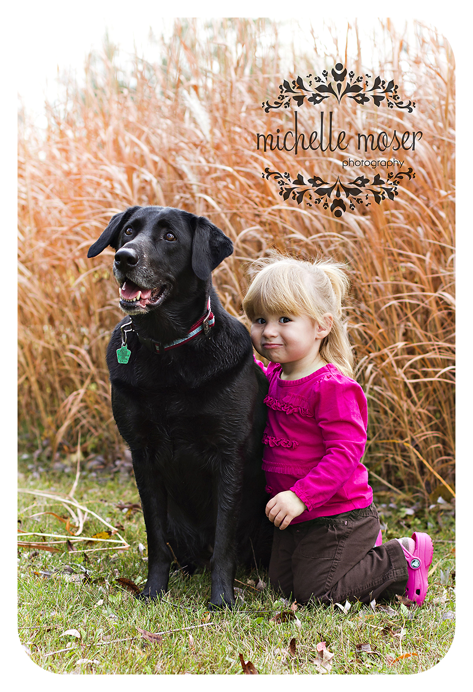 Michelle Moser Photography