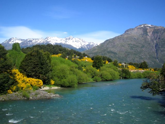 El Ambiente: Concepto e Importancia del Ambiente