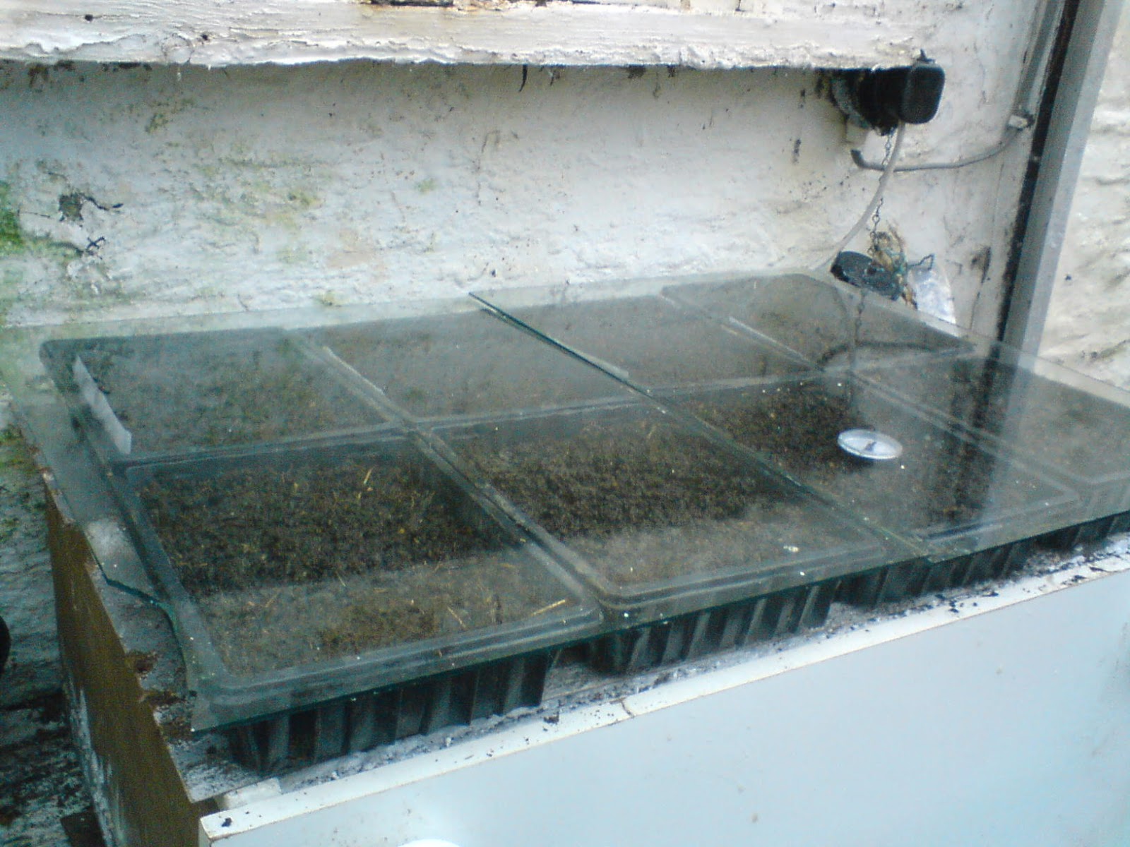 Growing Things and Making Things: DIY Heated Propagator