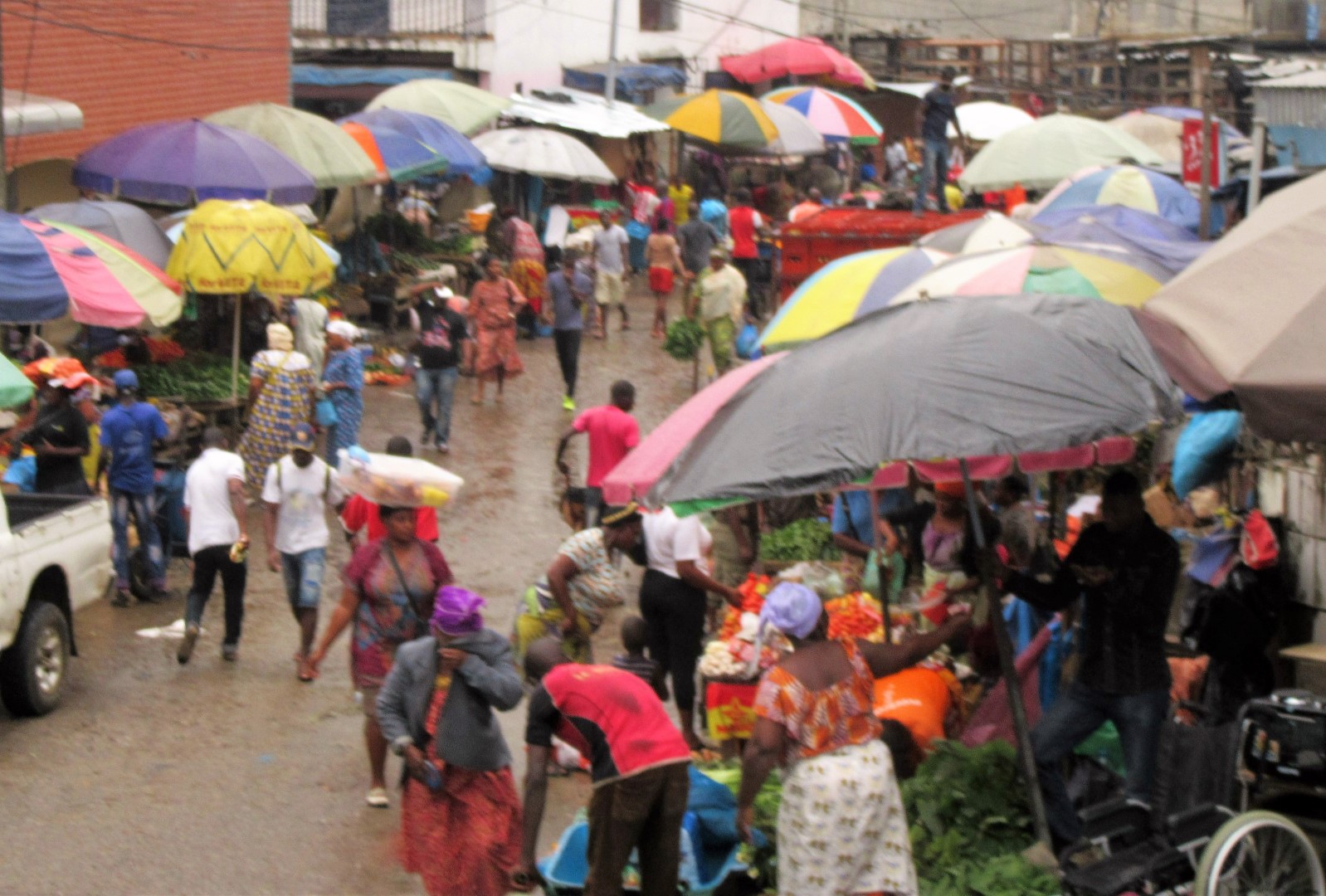 Bill's Excellent Adventures: Gabon