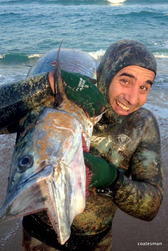 Coatesman's Spearfishing & Waterman's Blog: Big Couta in the Middle of ...
