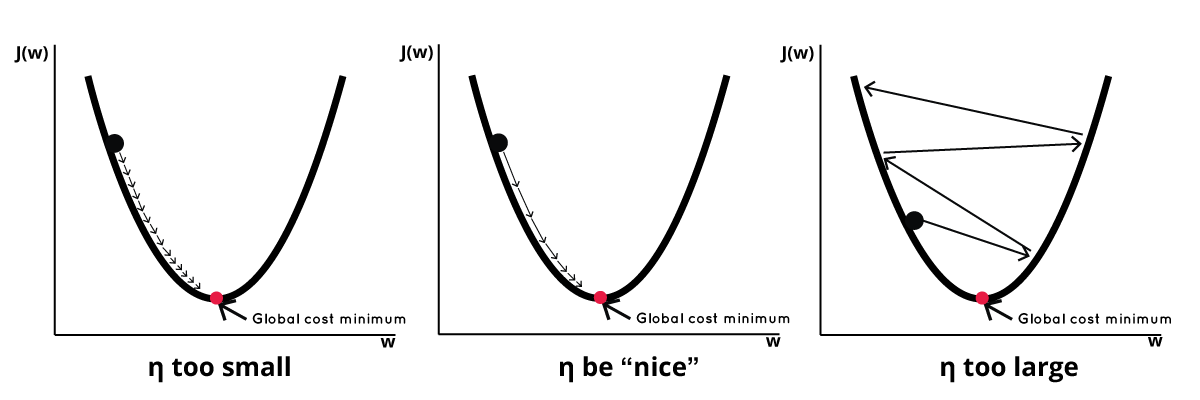 The role of Learning rate in Gradient Descent