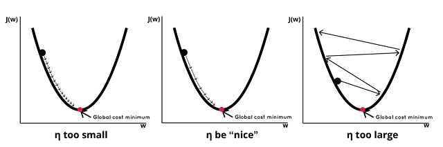 The Role Of Learning Rate In Gradient Descent