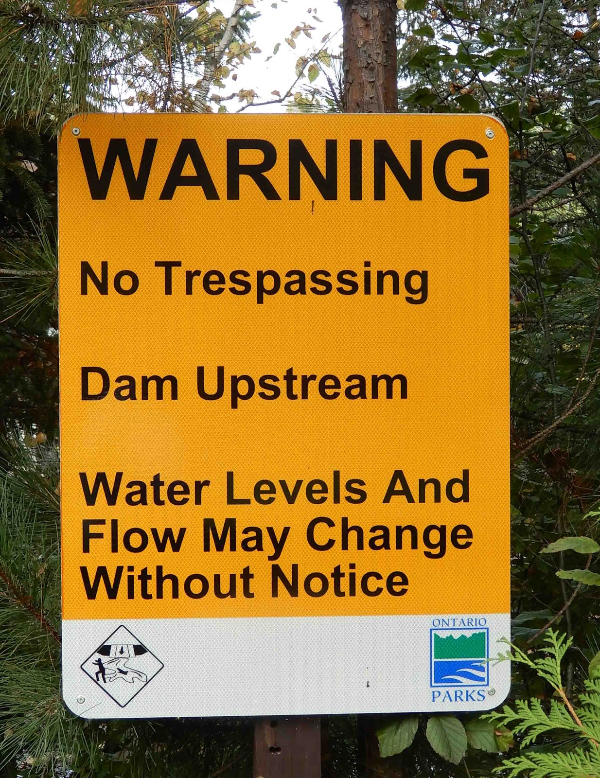 Cat Patches: Thunder Bay, Ontario, Canada