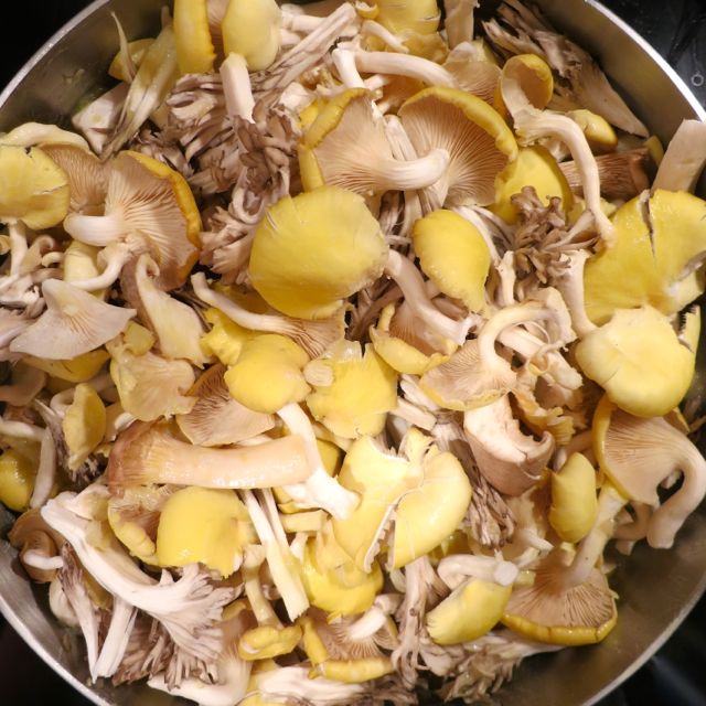 The Veracious Vegan: Wild Mushroom and Vegetable Fricassee