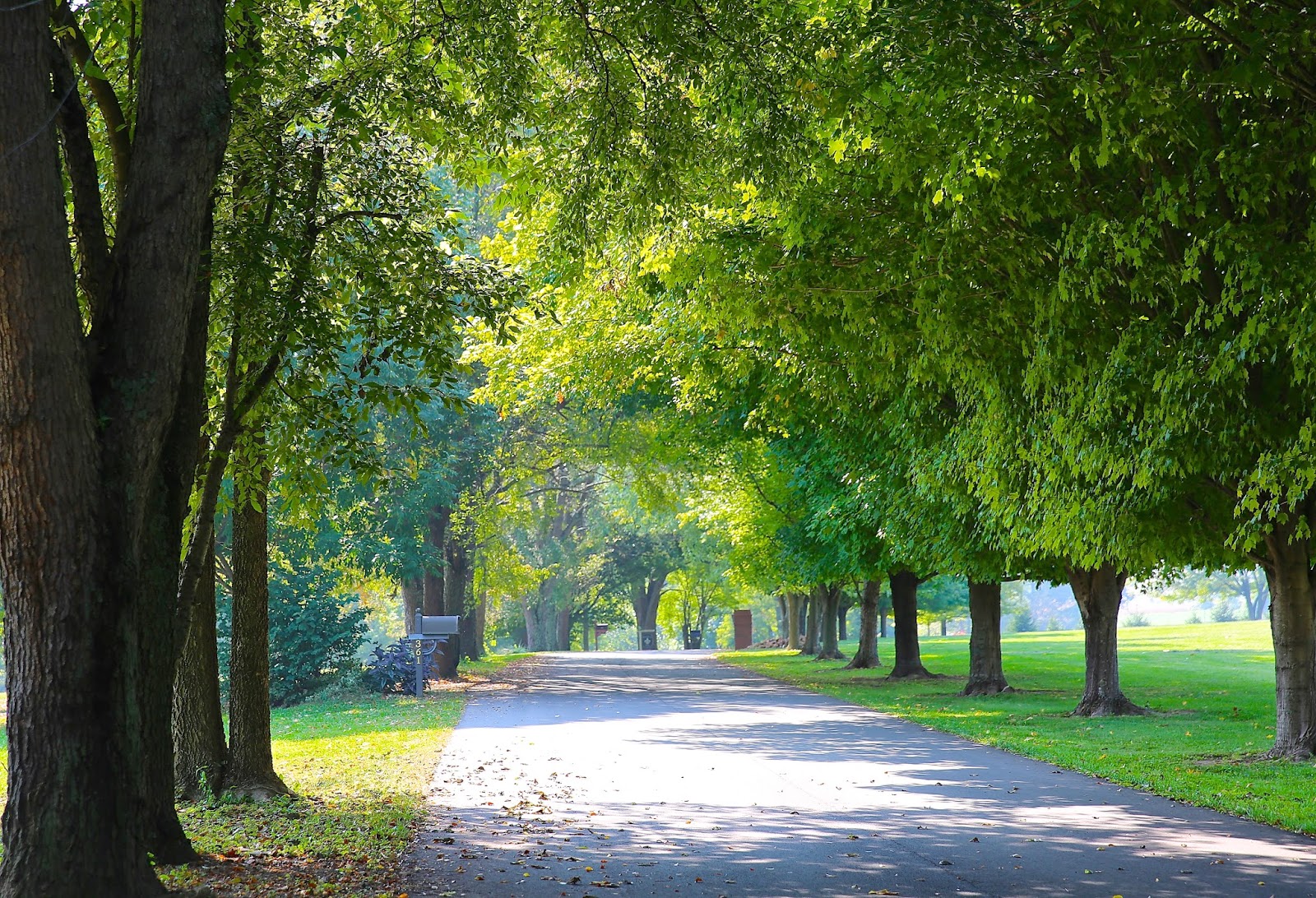 Sweet Southern Days: Scenic Backroads of Rural Kentucky