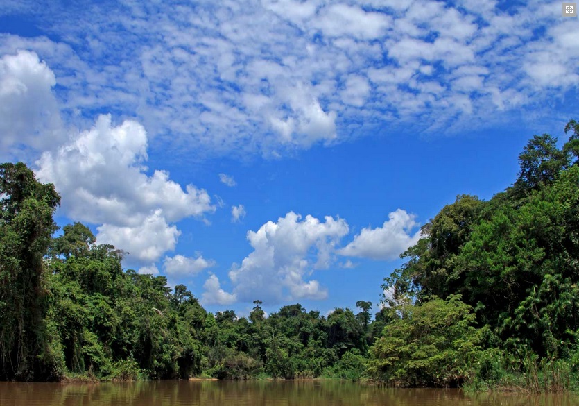 Ecuador travel – Viaje Crucero por el Amazonas