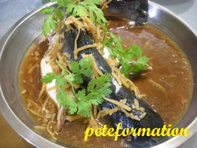 PeteFormation Foodie Adventure: Steamed Patin Fish (Catfish, Pangasious ...