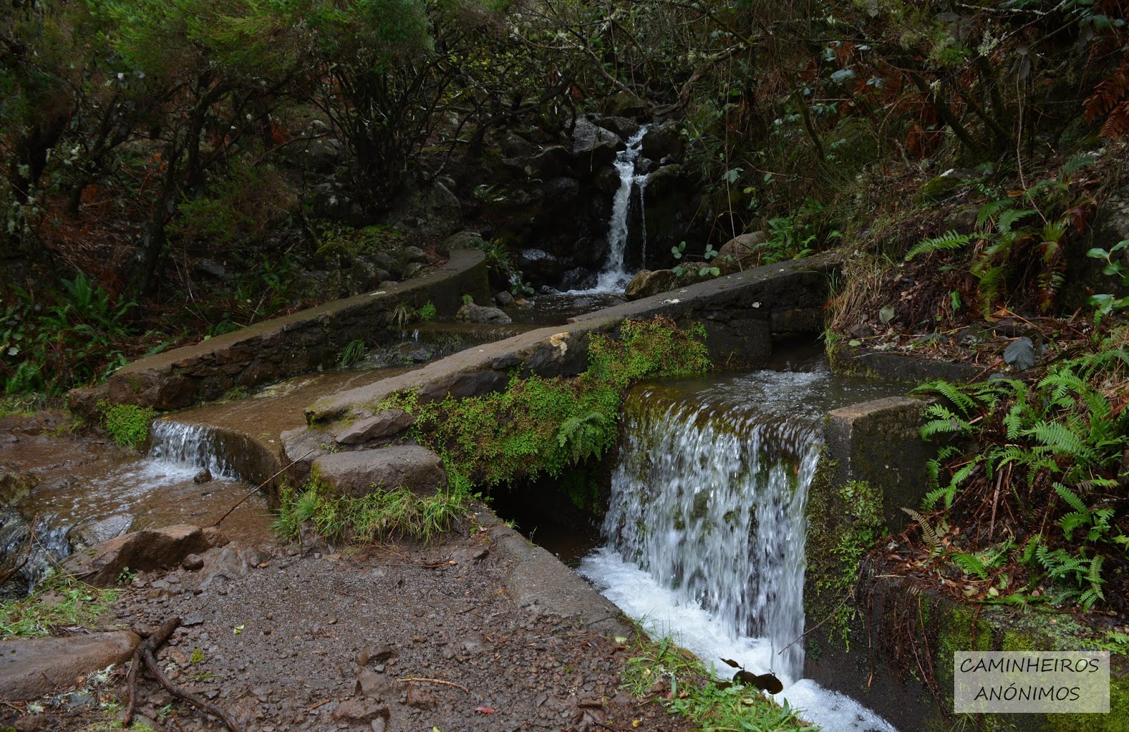 Caminheiros Anónimos Levadas da Madeira : Levada Grande do Paul (Calheta)