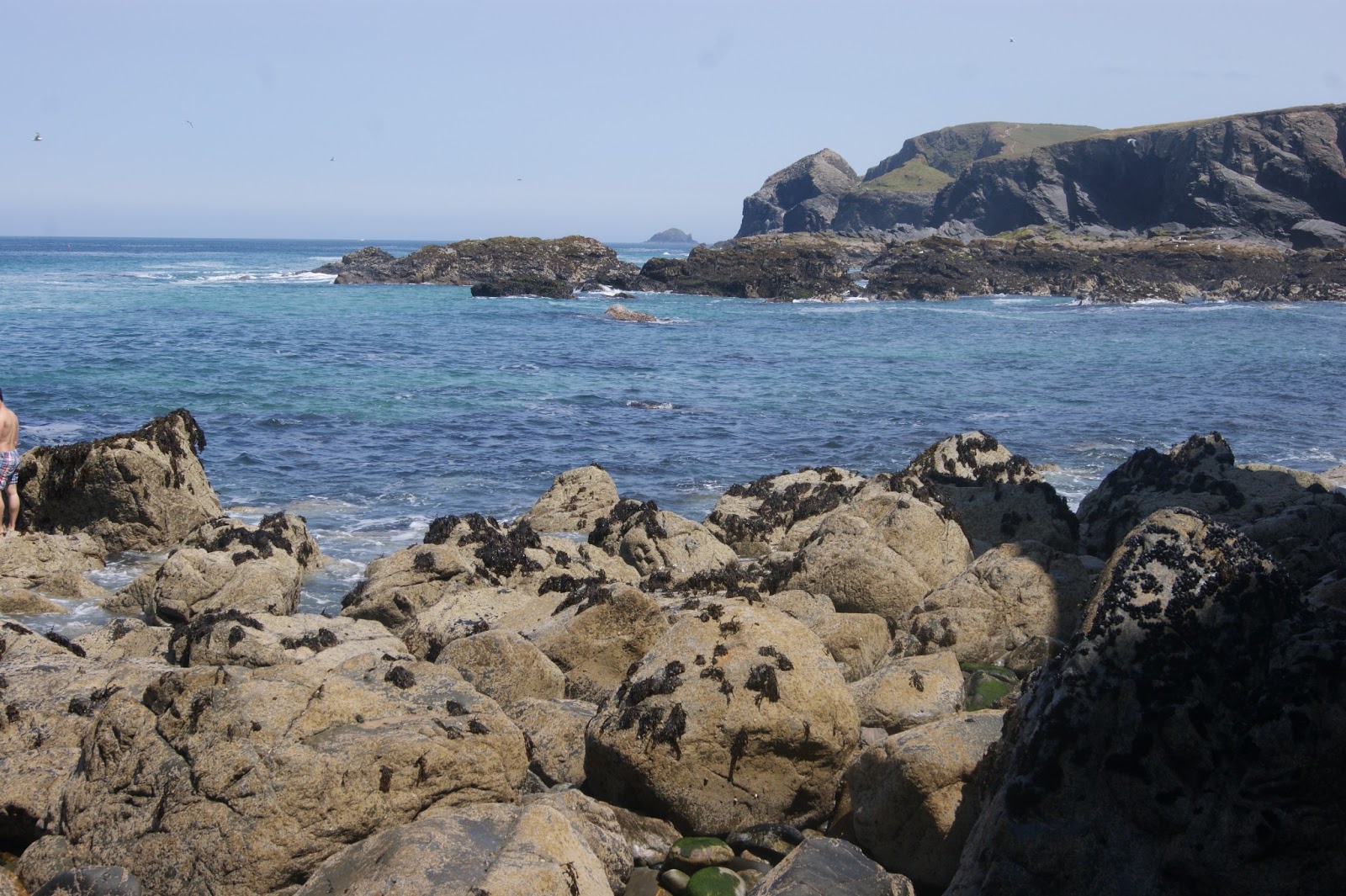 Clotted cream and cliff walks in Cornwall... (very PICTURE HEAVY ...