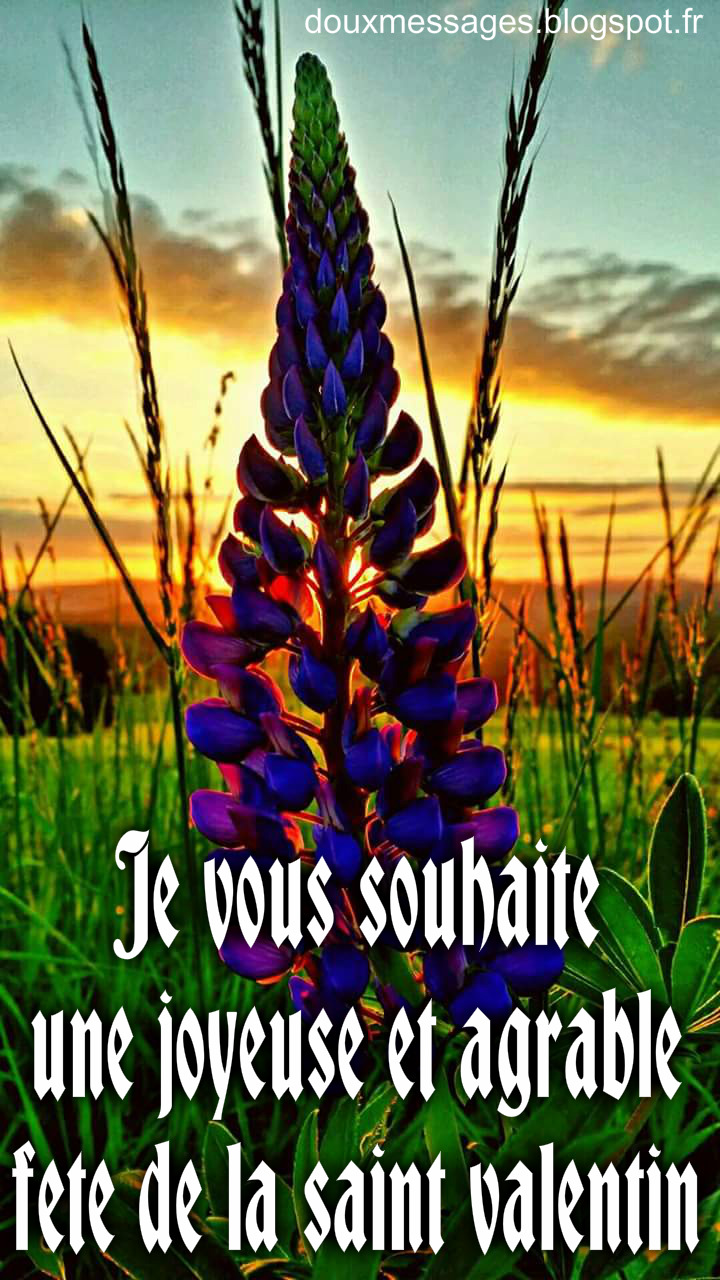 LETTRE D'AMOUR POUR LA SAINT VALENTIN - MESSAGES DOUX