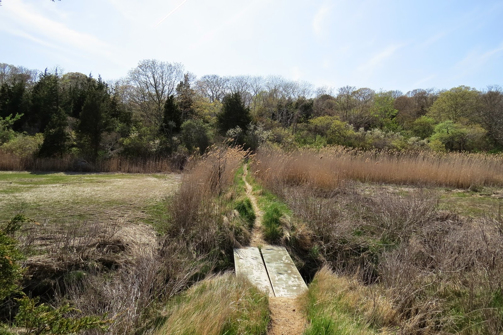 Cape Cod Retiree: May 2014
