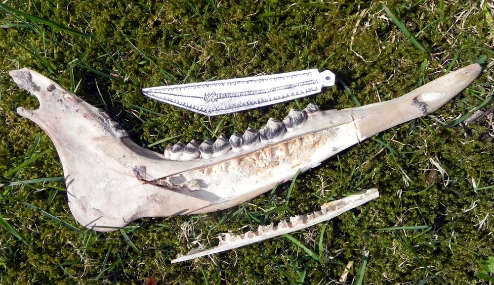 Elfshot: Beothuk Pendant Reproductions