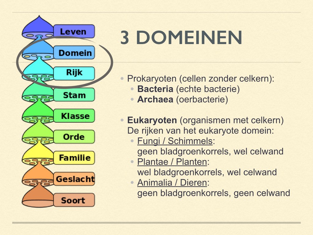 Ordening en Evolutie: februari 2018